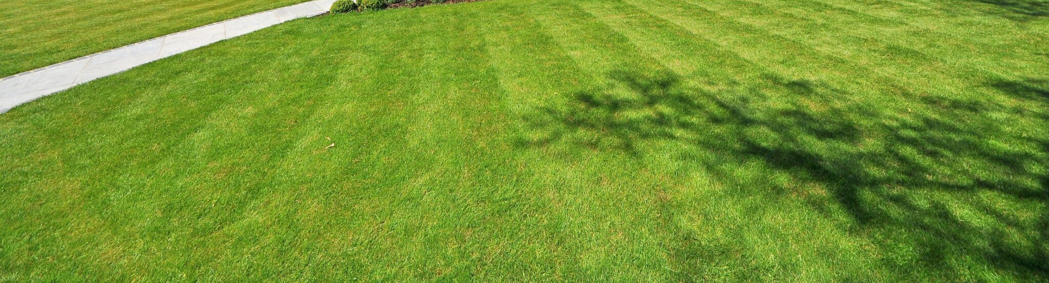 Fix Bare, Patchy Lawns Fast With Sod Installation